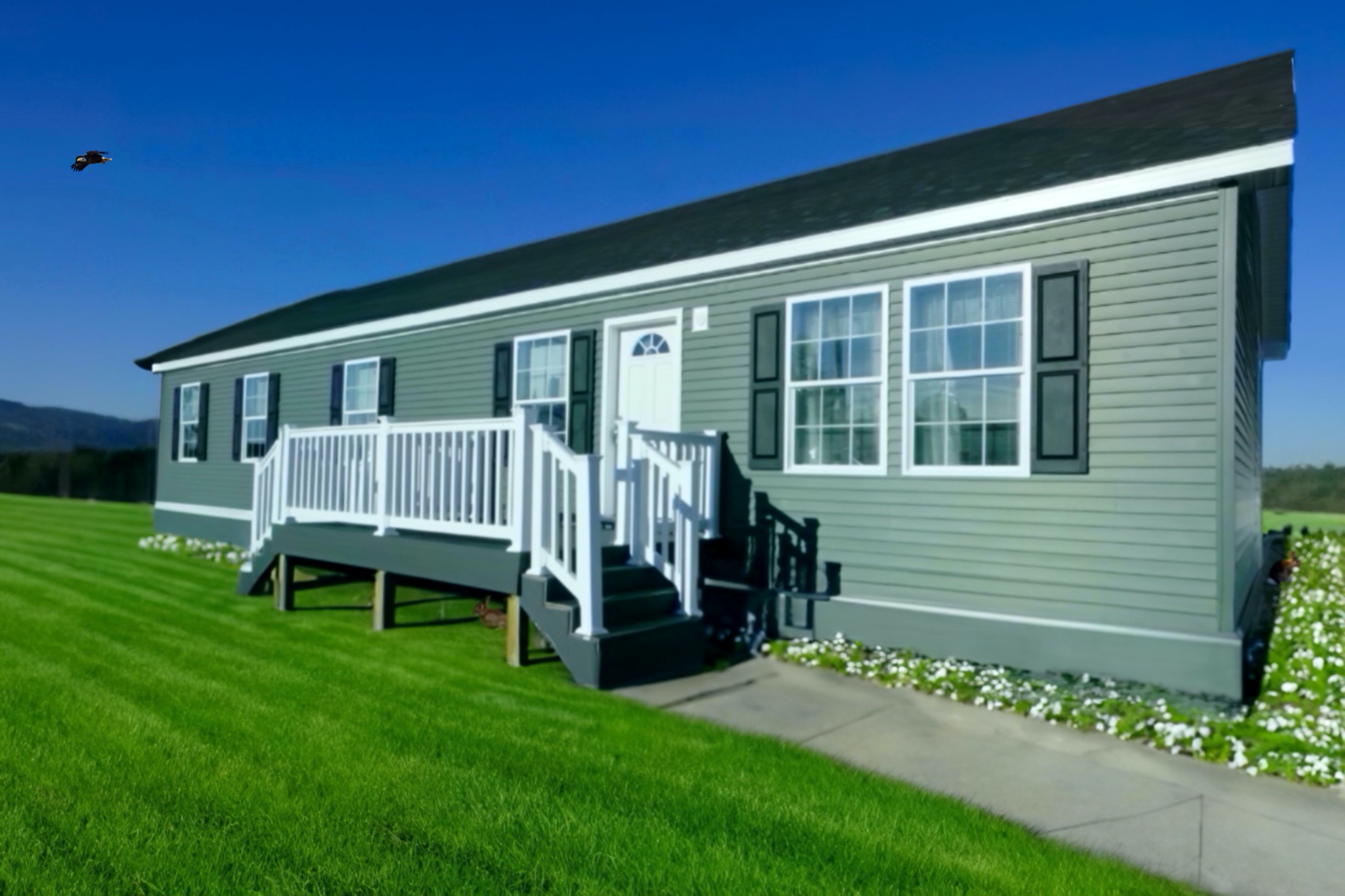 American Homes
